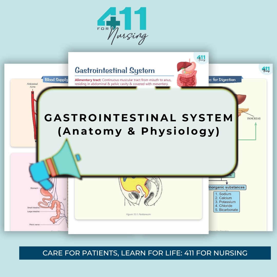 Gastrointestinal System Study Notes | Anatomy & Physiology | Nursing ...