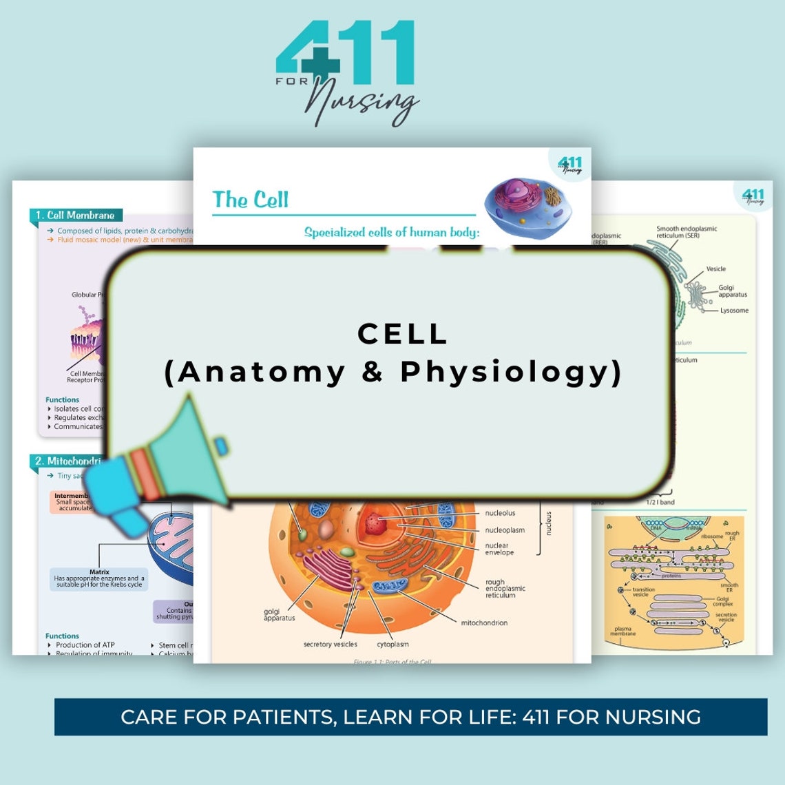 The Cell Anatomy and Physiology | Study Notes | High Level Overview - Etsy