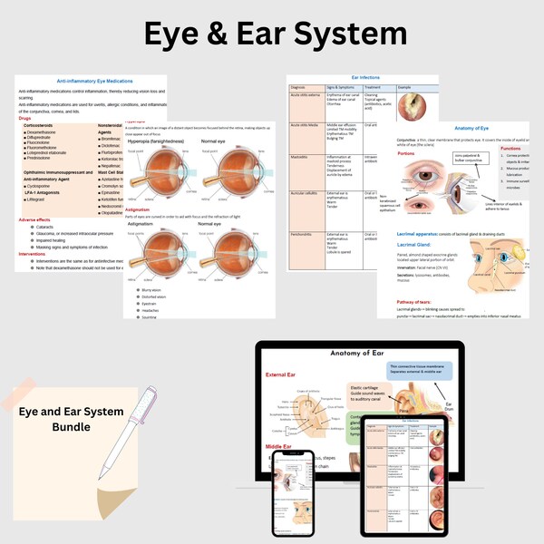Anatomy Physiology - Etsy