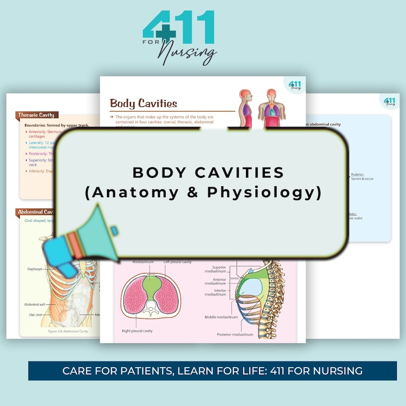 Body Cavities Anatomy, Physiology - Etsy