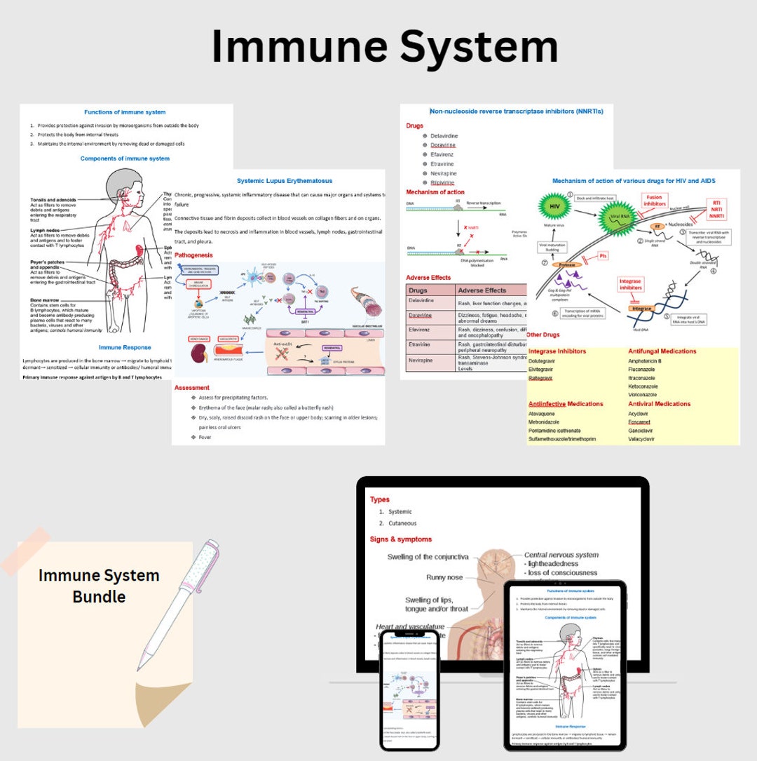 Immune System:anatomy,physiology, Common Problems, and Medications ...