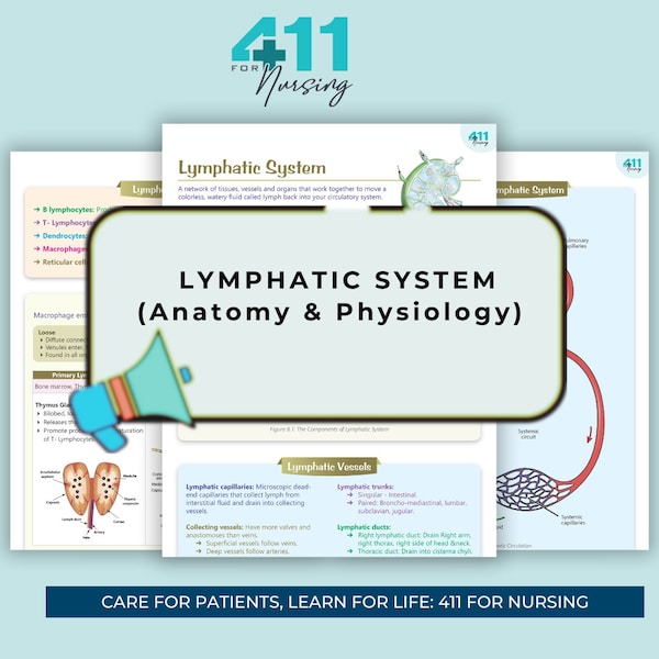 Lymphatic Drainage Poster - Etsy UK