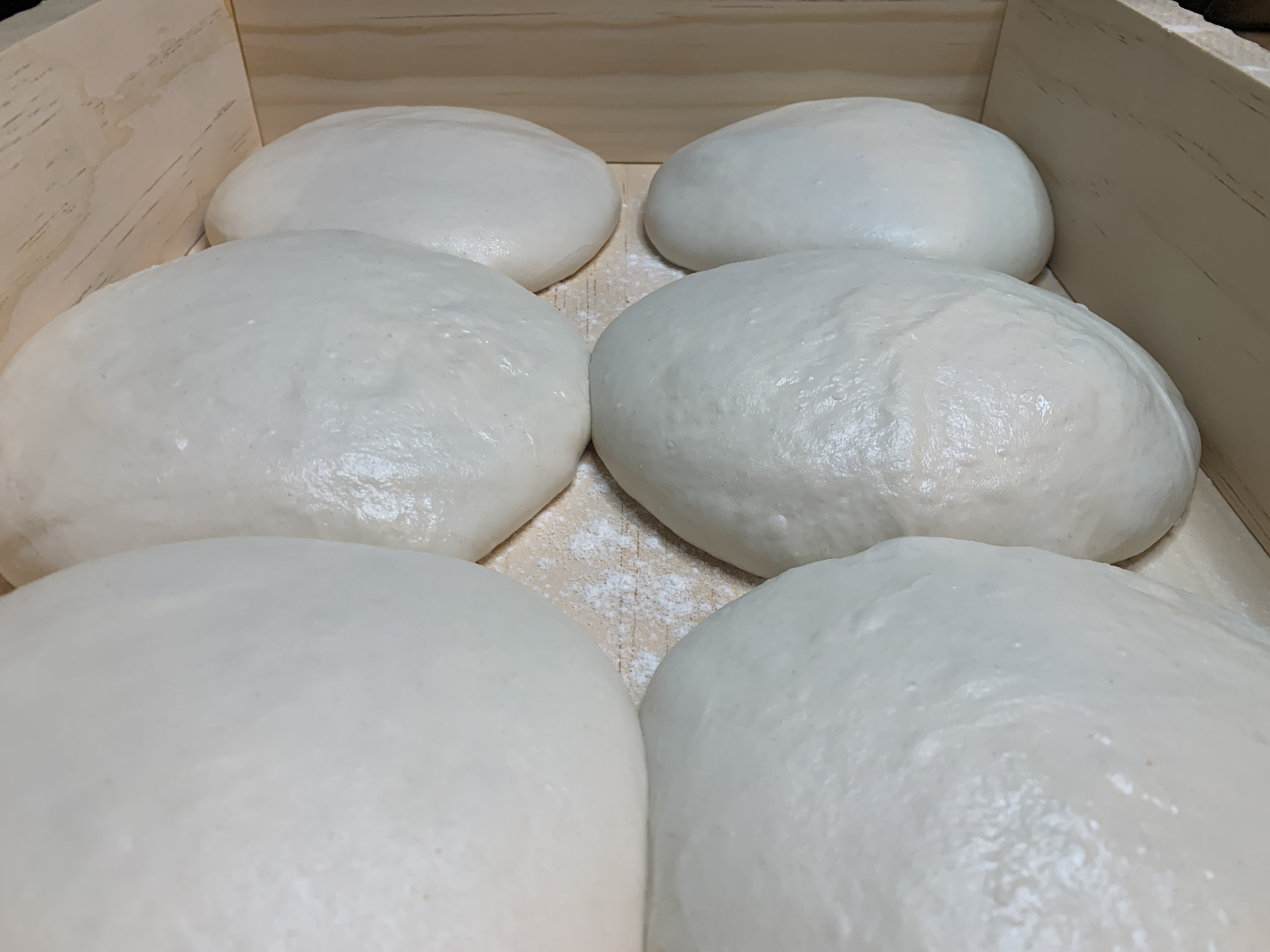 Proofing Box With Lid (for Pizza Dough Balls) - Etsy