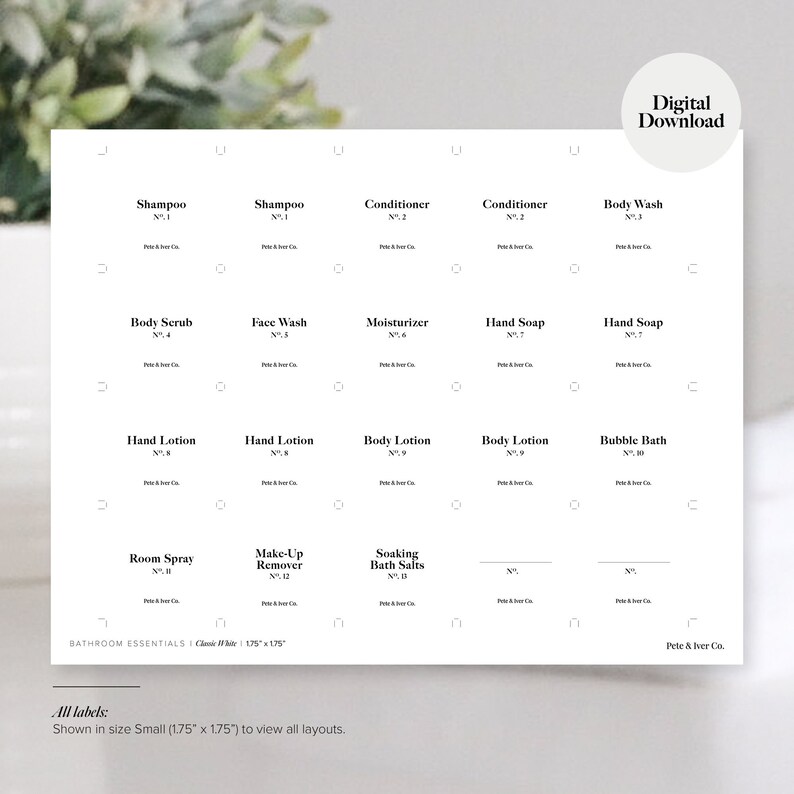 SMALL Classic Bathroom Essentials Labels in White Print at - Etsy