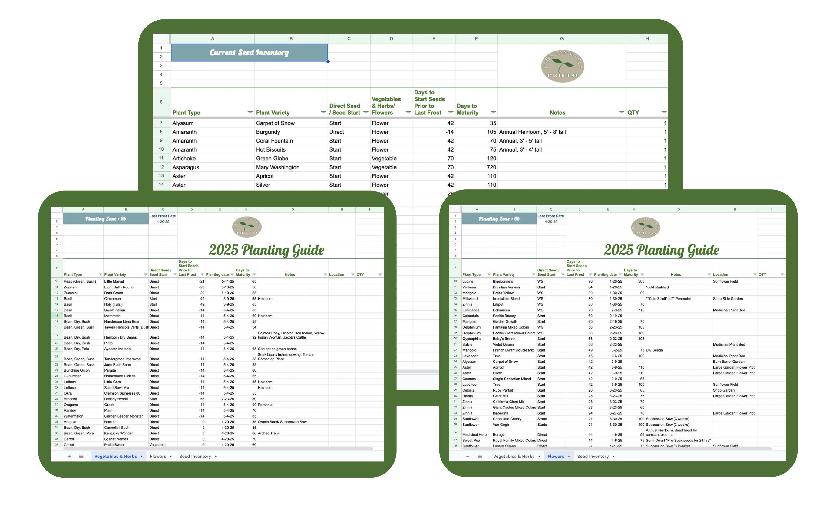 2025 Seed Starting & Direct Sowing Scheduling Spreadsheet, Digital ...
