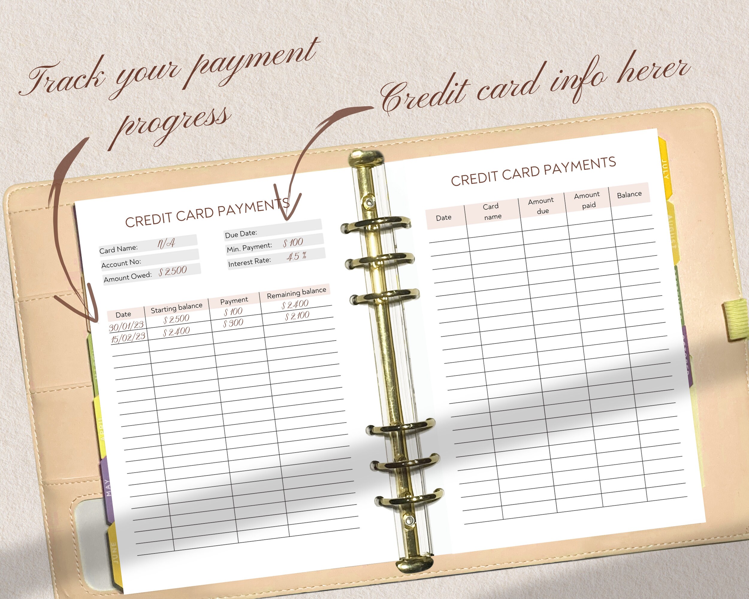 Credit Card Payments Tracker Printable and Editable, Debt Snowball ...