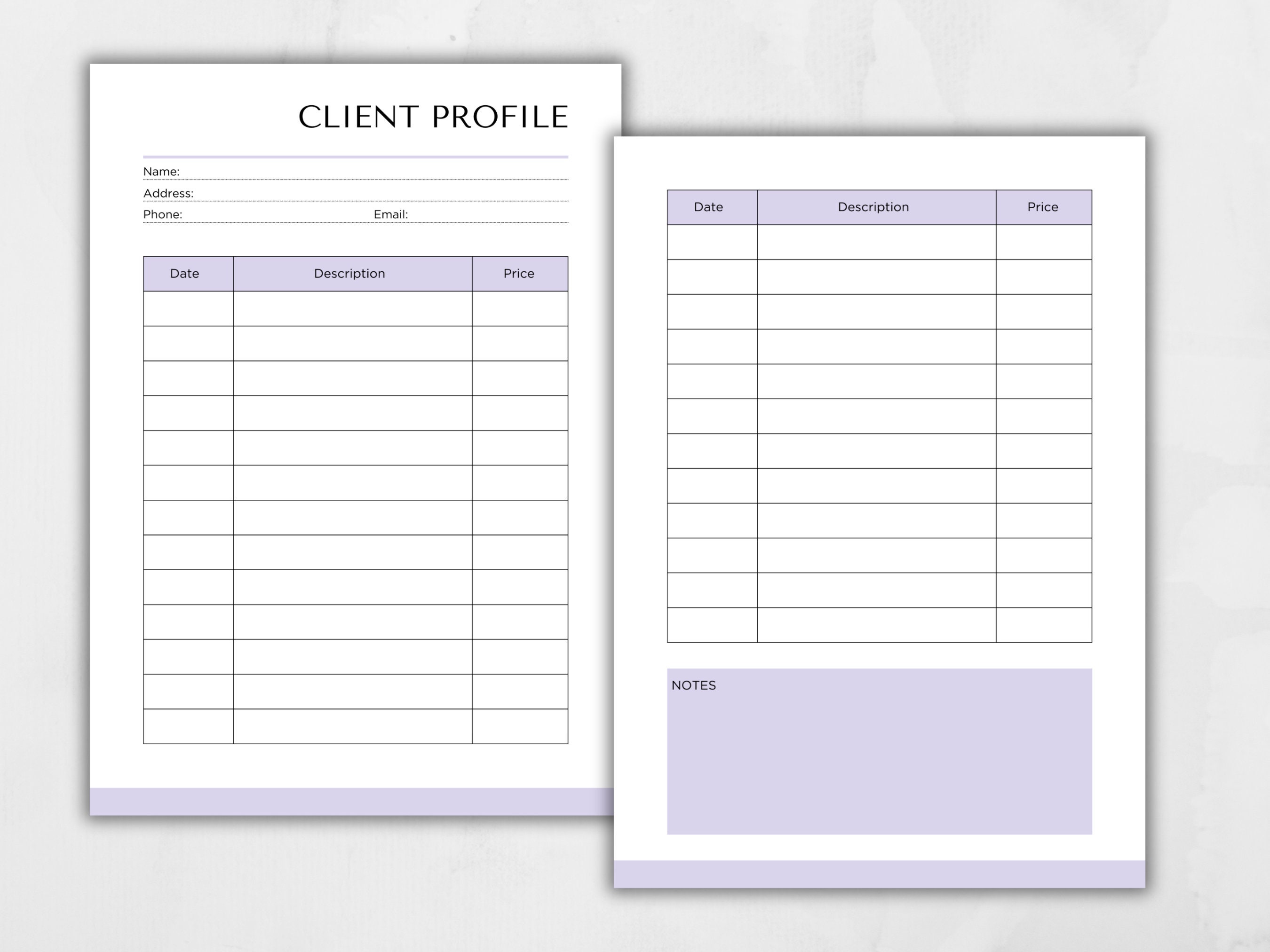 Printable Client Profile Template, Editable B2B Business Sheet ...