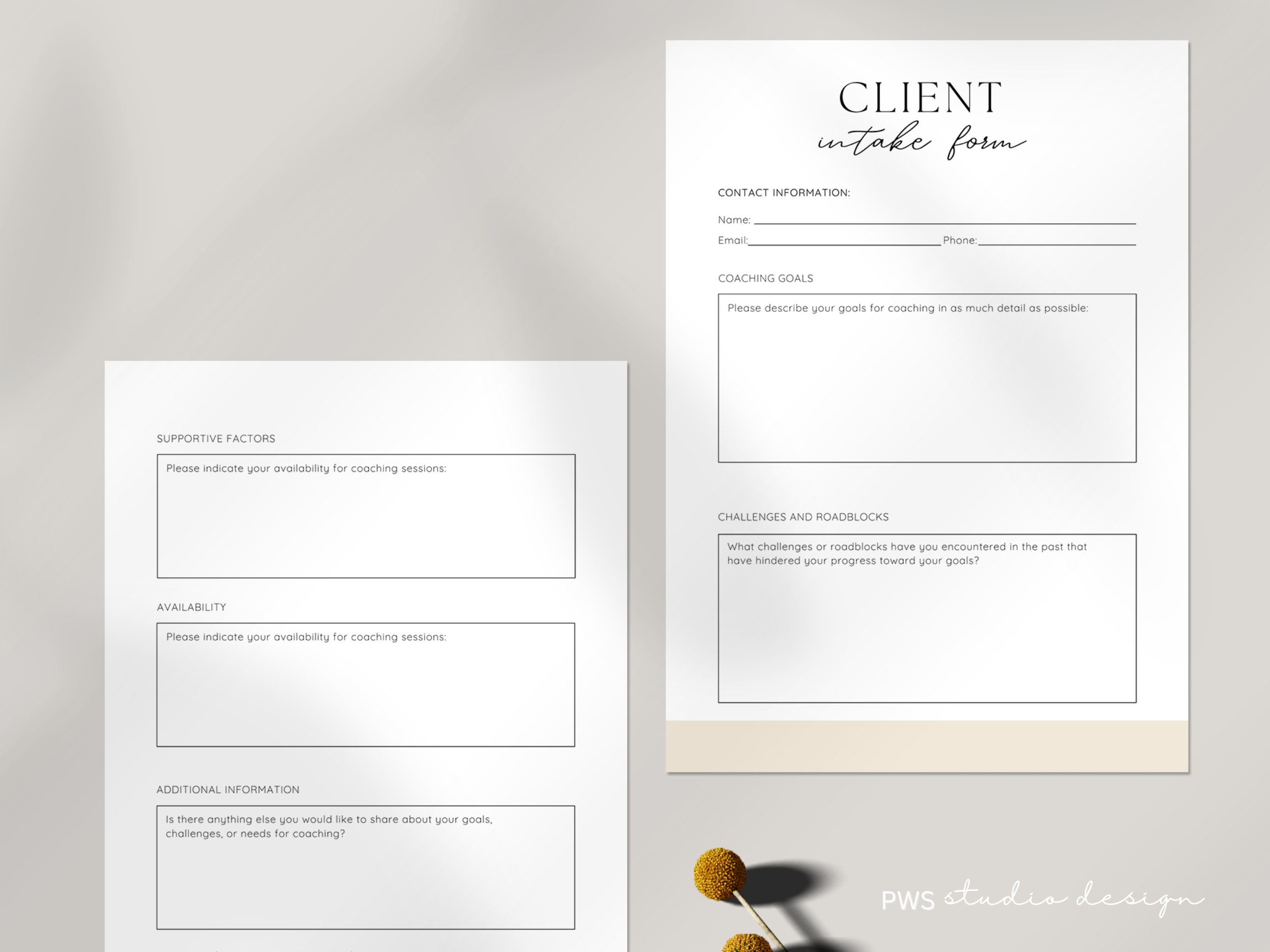 Coaching Client Intake Form Onboarding Life Coach Template Intake ...