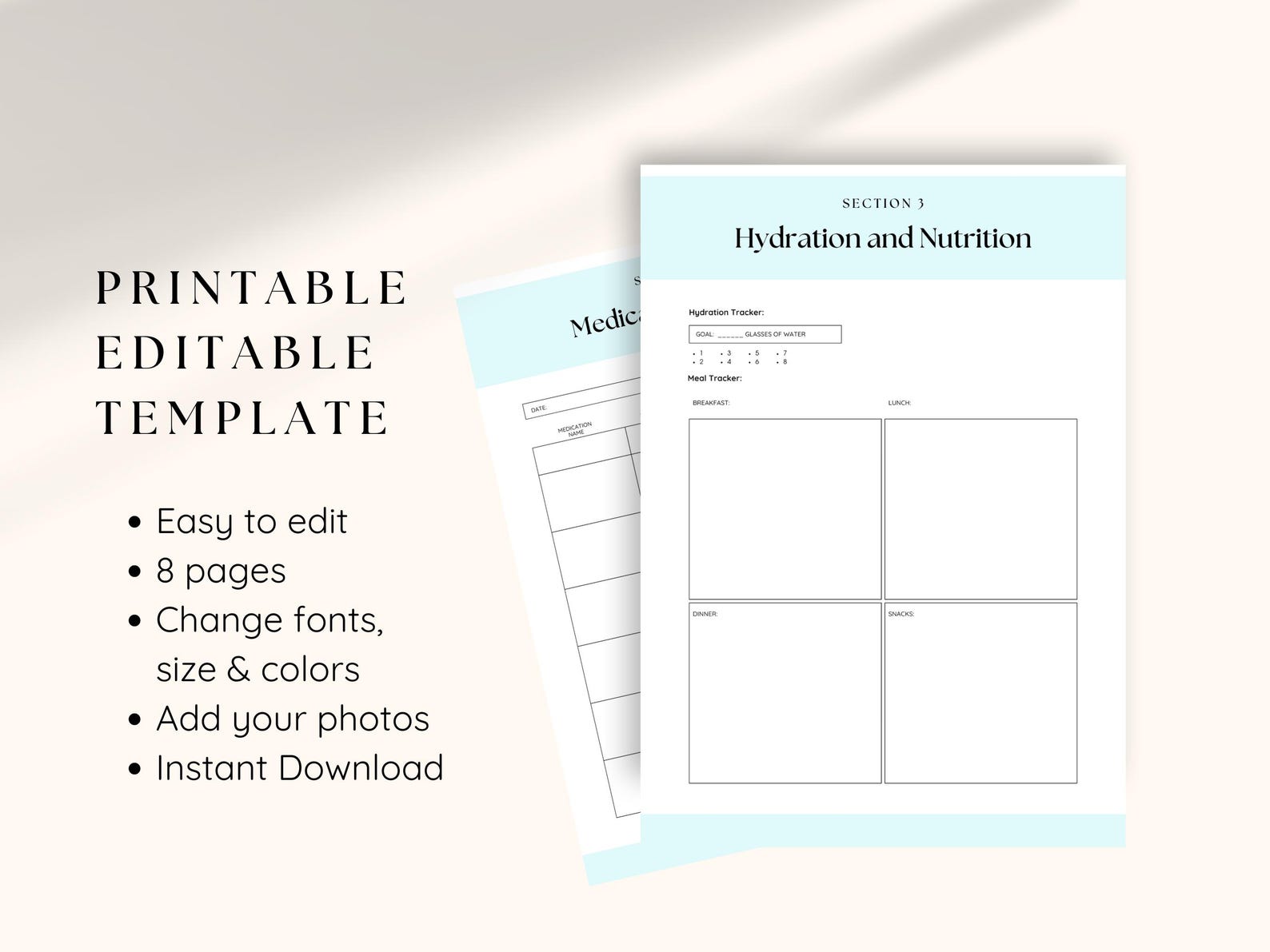 Dementia Daily Planner Organize and Simplify Caregiving Memory Aids and ...