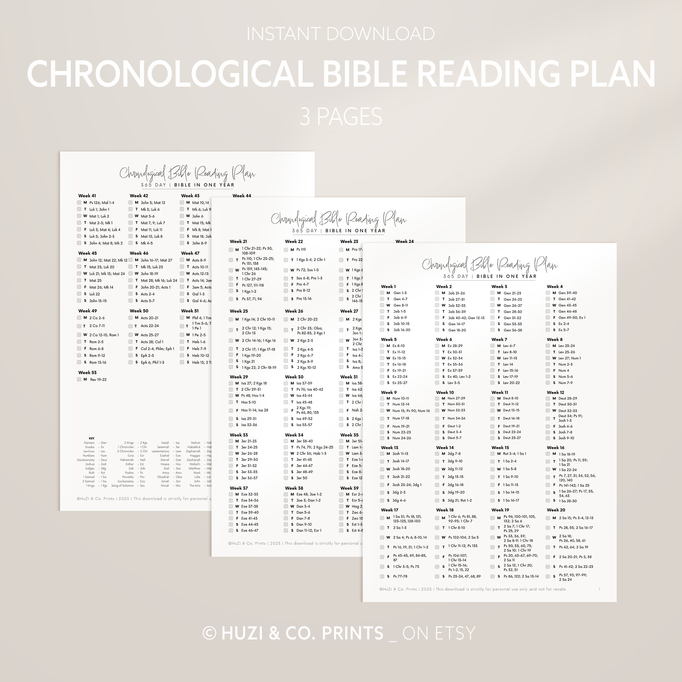 Chronological Bible Plan, Bible Reading Plan Printable, 1 Year Bible ...