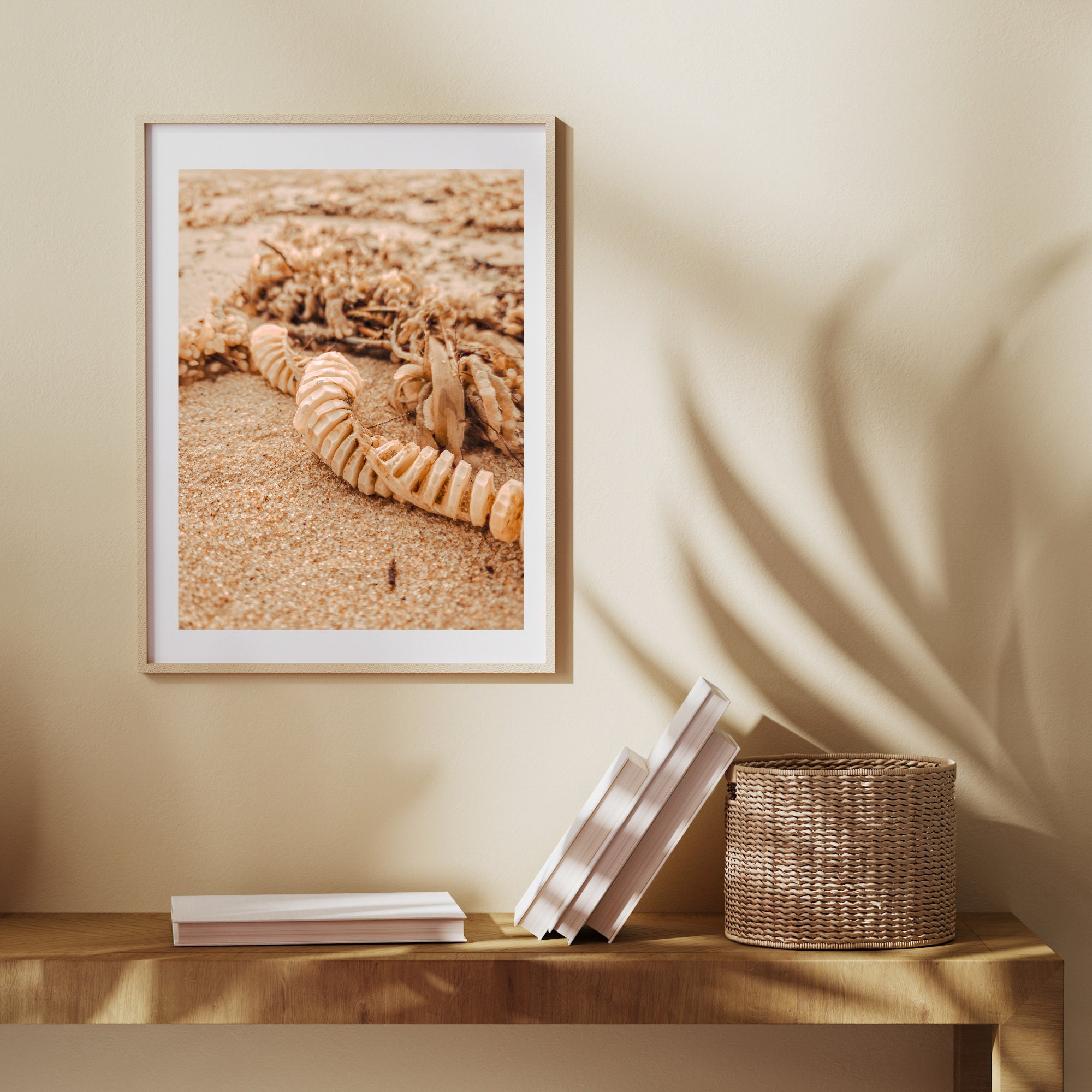 Mermaid's Purse Printable Art- Conch Shell Casing Seashore- Nautical ...