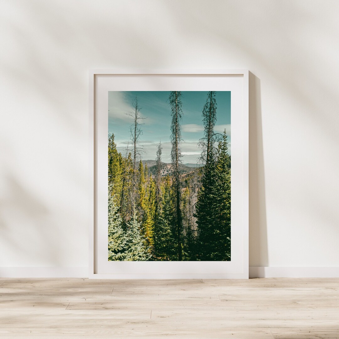 Through the Treetop View Printable Wall Art Colorado Mountains Woodland ...