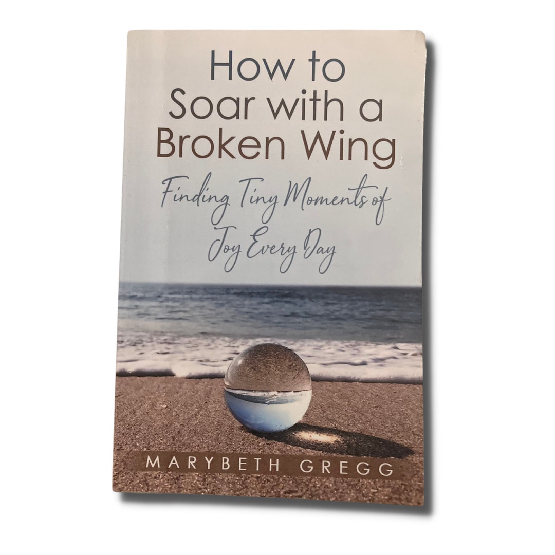How to Soar With a Broken Wing Book - Etsy