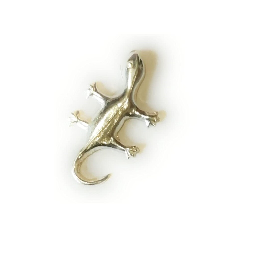 Pure Silver Small Size Lizard Idol for Pooja/mandir/temple - Etsy