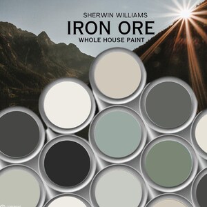 IRON ORE Coordinating Colors Modern Interior Home- Pre-packed Paint ...