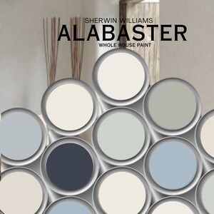 ALABASTER Coordinating Colors Modern Interior Home- Pre-packed Paint ...