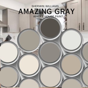 AMAZING GRAY Coordinating Colors Modern Interior Home- Pre-packed Paint ...