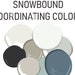 SNOWBOUND Coordinating Colors Modern Interior Home Prepacked Paint ...