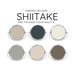SHIITAKE Coordinating Colors Modern Interior Home- Pre-packed Paint ...
