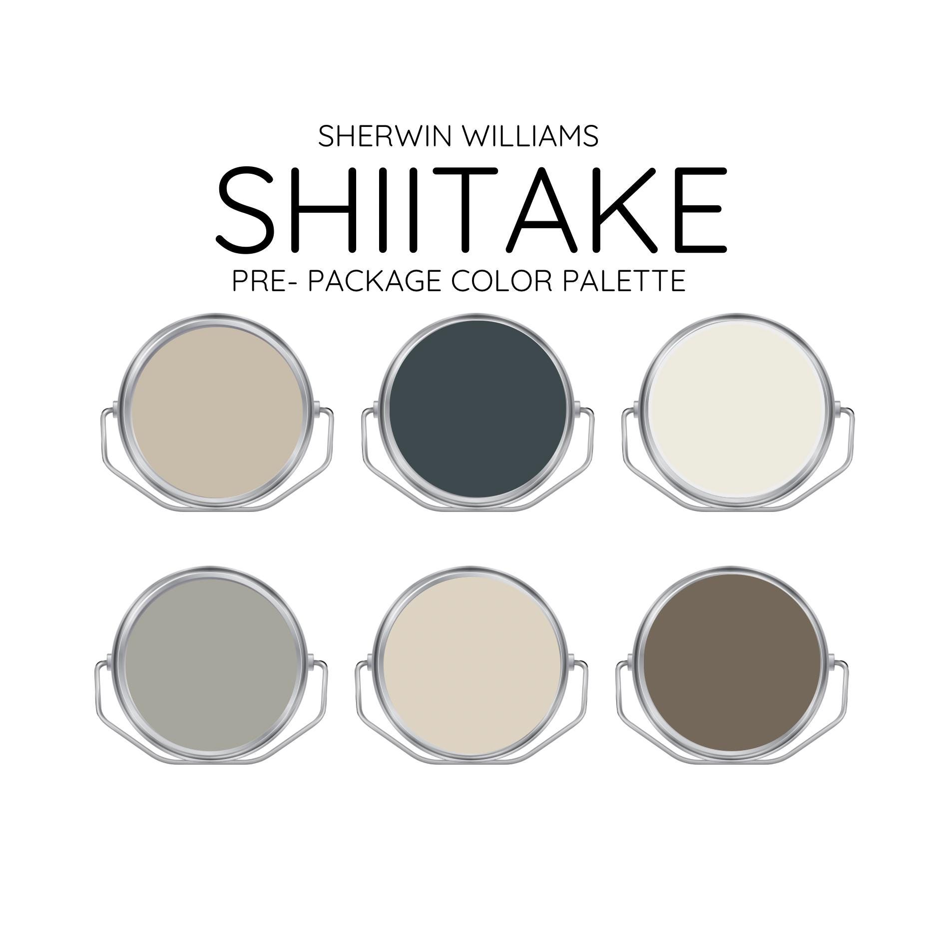 SHIITAKE Coordinating Colors Modern Interior Home- Pre-packed Paint ... SHIITAKE Coordinating Colors Modern Interior Home- Pre-packed Paint ...