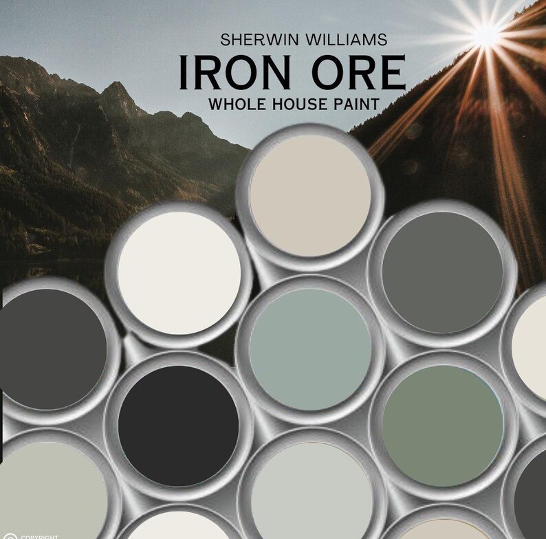 IRON ORE Coordinating Colors Modern Interior Home- Pre-packed Paint ...