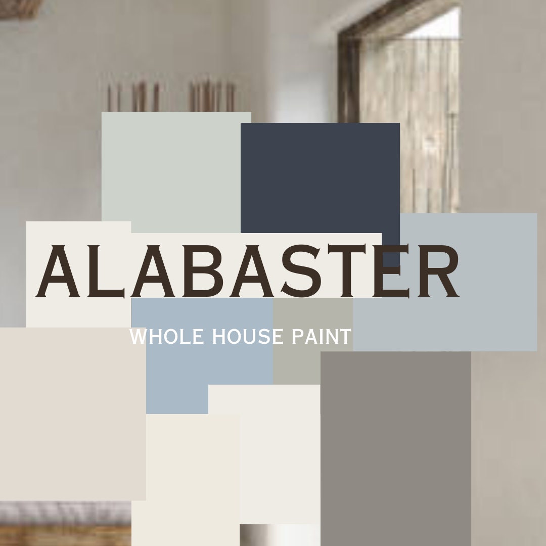 ALABASTER Coordinating Colors Modern Interior Home- Pre-packed Paint ...