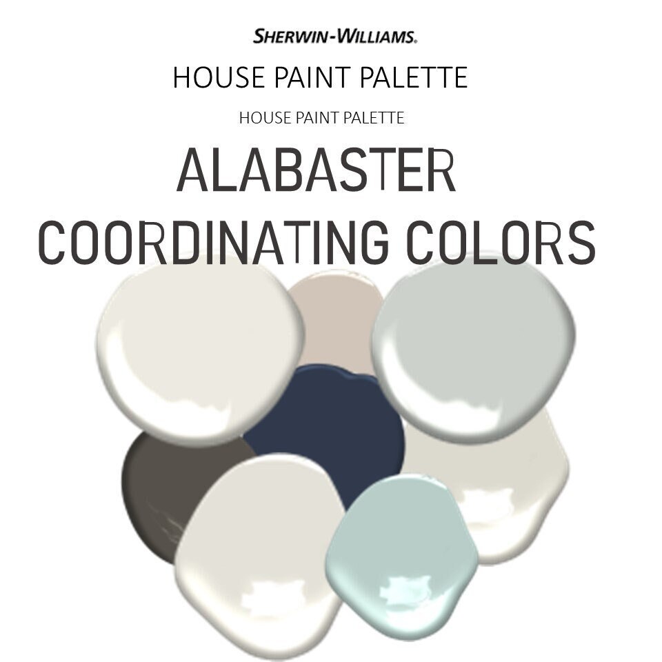 ALABASTER Coordinating Colors Modern Interior Home Pre-packed Paint ...