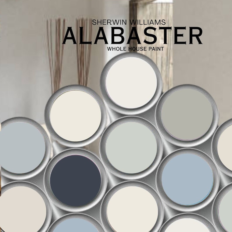 ALABASTER Coordinating Colors Modern Interior Home- Pre-packed Paint ...