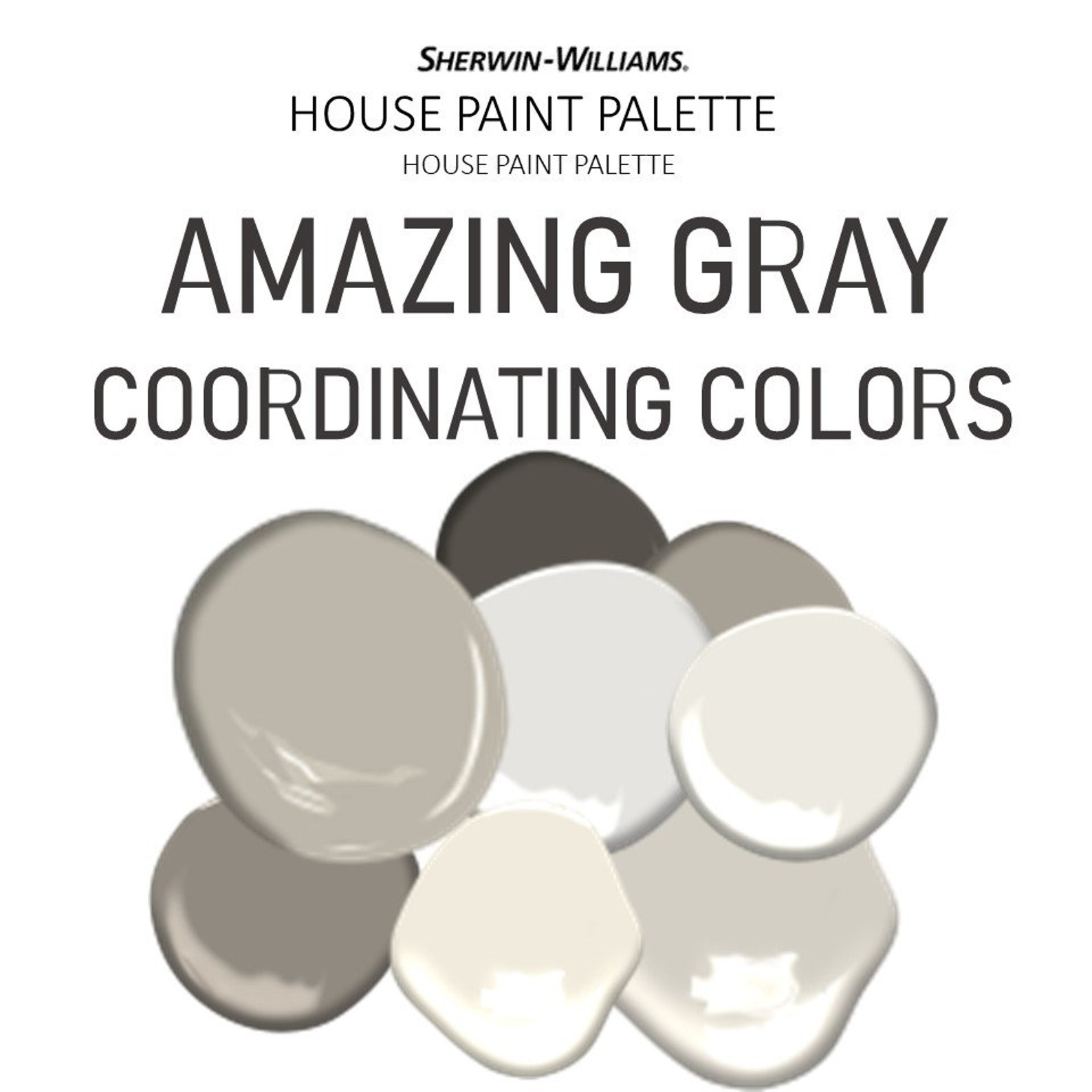 AMAZING GRAY Coordinating Colors Modern Interior Home Pre-packed Paint ...