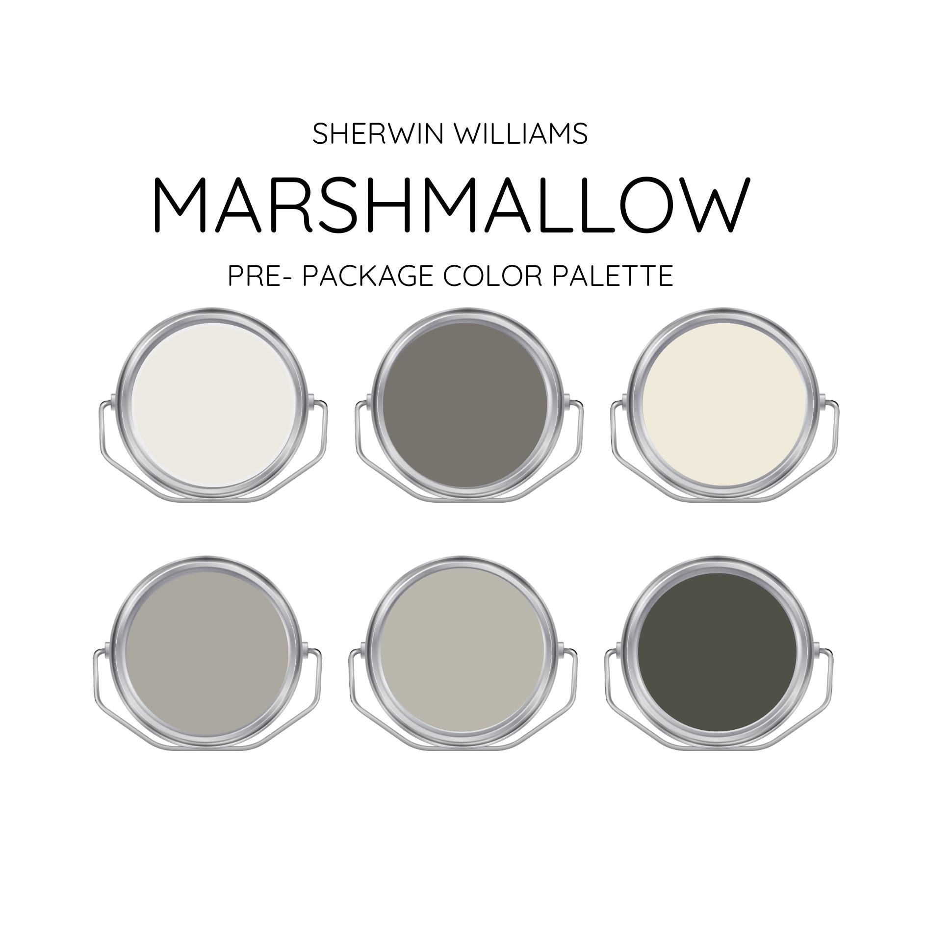 MARSHMALLOW Coordinating Colors Modern Interior Home- Pre-packed Paint ...