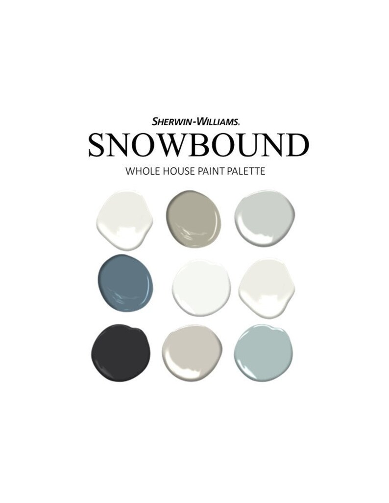 SNOWBOUND Coordinating Colors Modern Interior Home Prepacked Paint ...