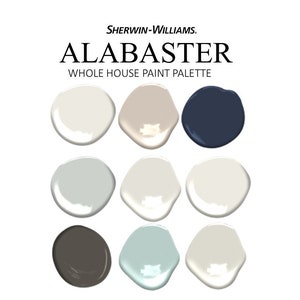 ALABASTER Coordinating Colors Modern Interior Home Pre-packed Paint ...