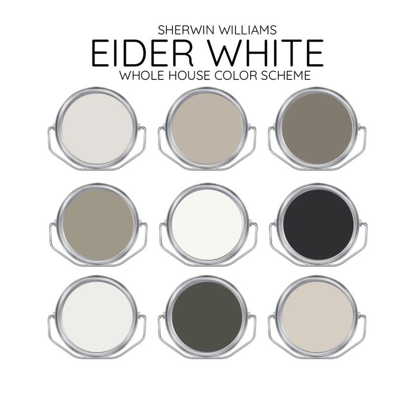 EIDER WHITE Coordinating Colors Modern Interior Home- Pre-packed Paint ...