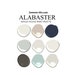 ALABASTER Coordinating Colors Modern Interior Home Pre-packed Paint ...