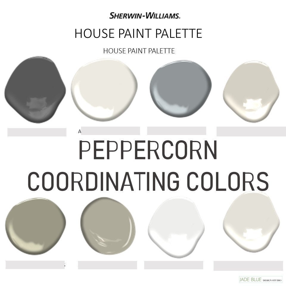 PEPPERCORN Coordinating Colors Modern Interior Home Pre-packed Paint ...