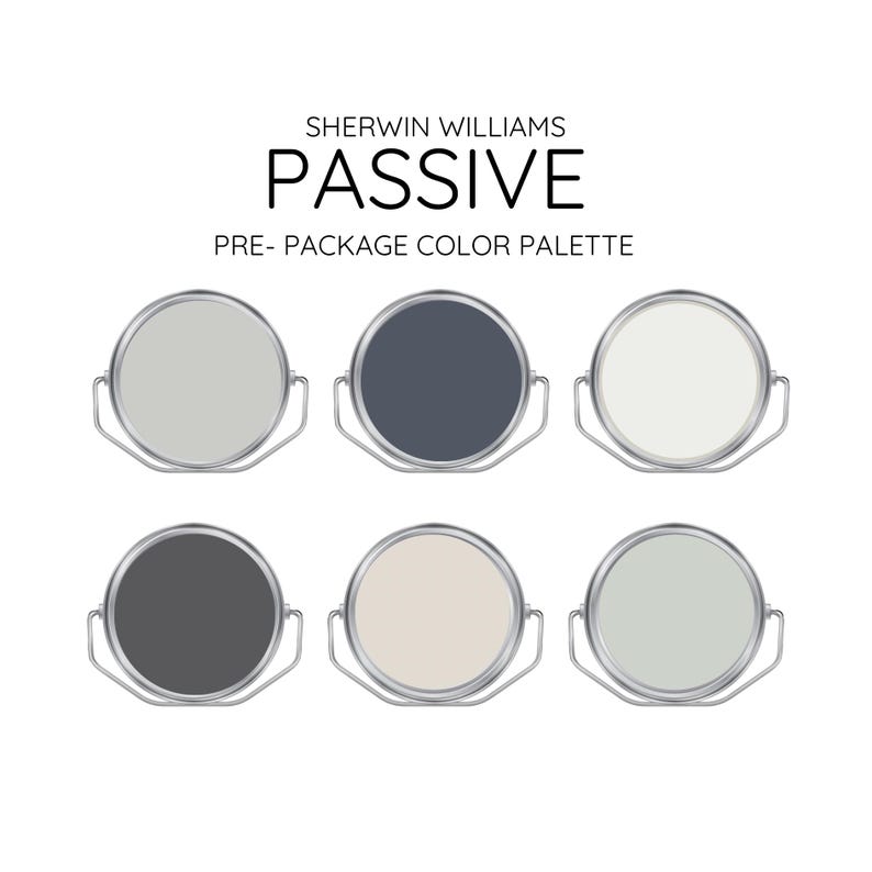 PASSIVE Coordinating Colors Modern Interior Home- Pre-packed Paint ...