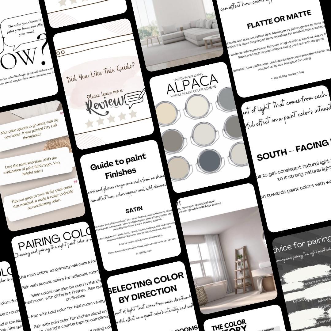 ALPACA Coordinating Colors Modern Interior Home- Pre-packed Paint ...