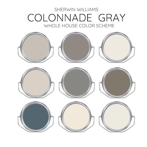 COLONNADE GRAY Coordinating Colors Modern Interior Home- Pre-packed ...