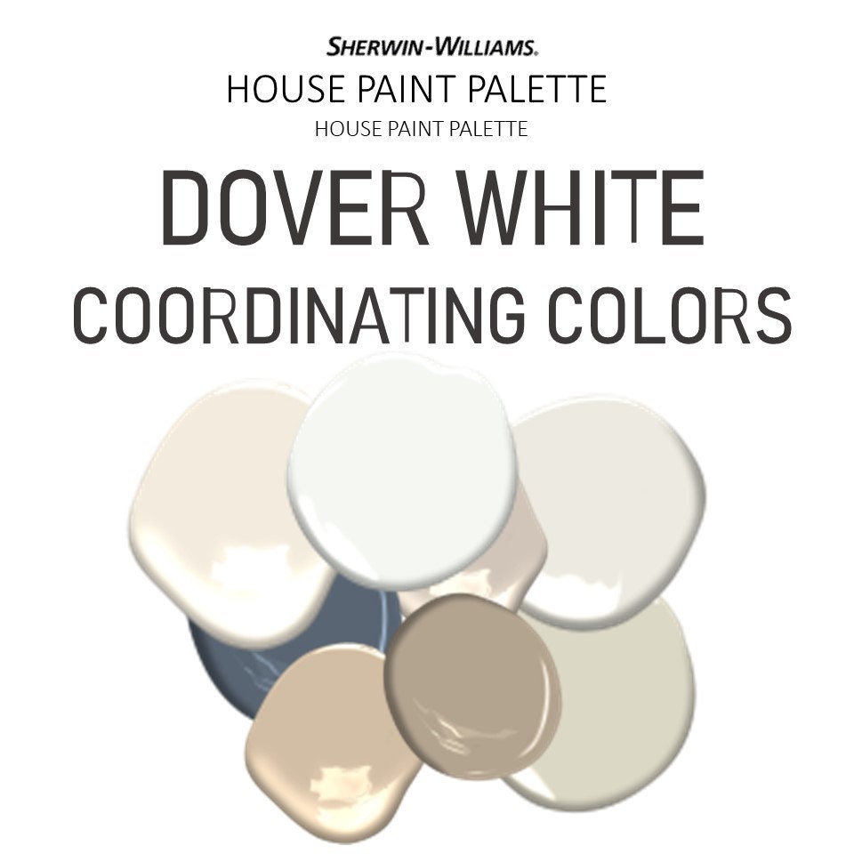 DOVER WHITE Coordinating Colors Modern Interior Home Pre-packed Paint ...
