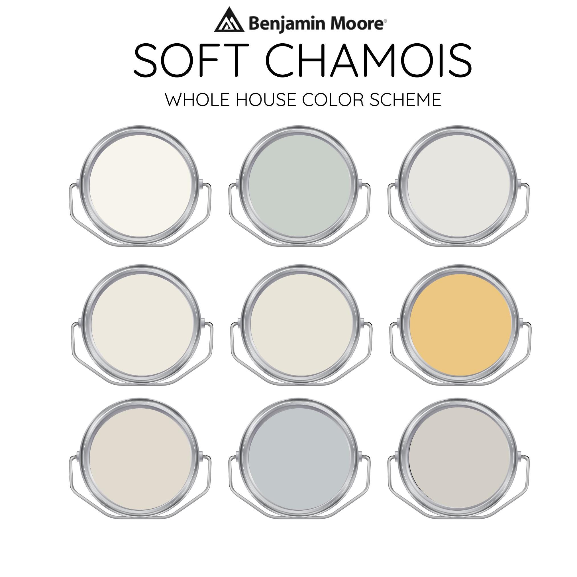 SOFT CHAMOIS Benjamin Moore Interior Paint Palette -prepacked Paint ...