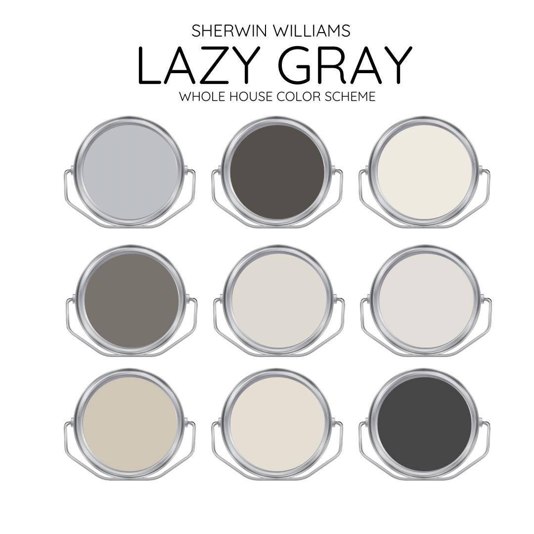 LAZY GRAY Coordinating Colors Modern Interior Home- Pre-packed Paint ...