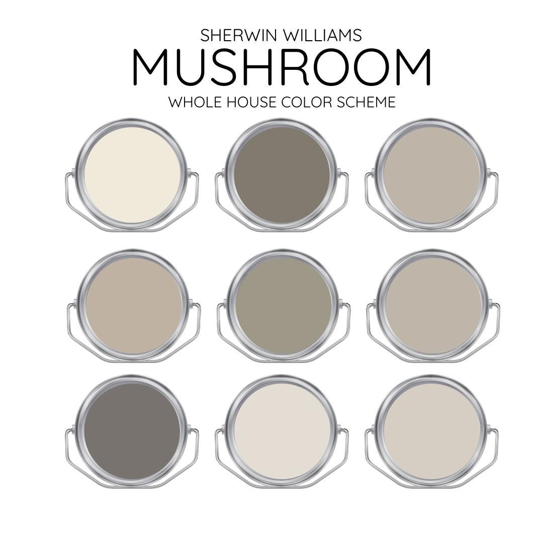 MUSHROOM Coordinating Colors Modern Interior Home- Pre-packed Paint ...