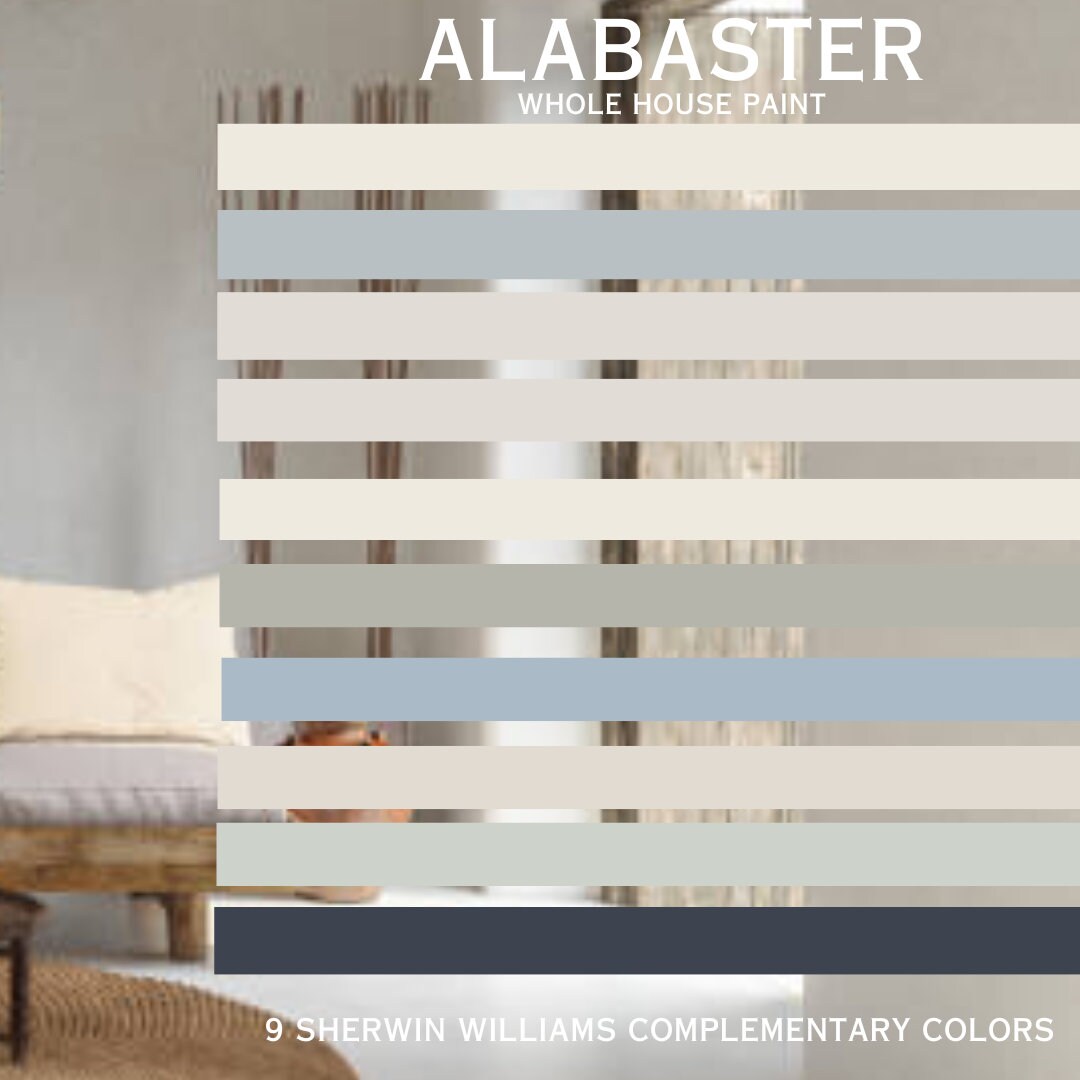 ALABASTER Coordinating Colors Modern Interior Home- Pre-packed Paint ...