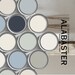 ALABASTER Coordinating Colors Modern Interior Home- Pre-packed Paint ...