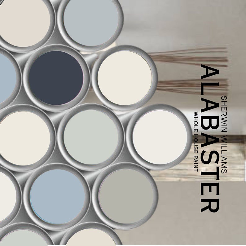 ALABASTER Coordinating Colors Modern Interior Home- Pre-packed Paint ...