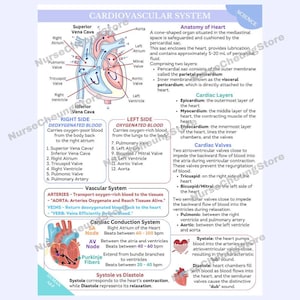 ATI TEAS 7 Science Comprehensive Study Guide by Nursecheung - In-depth Review With 50 Practice ...