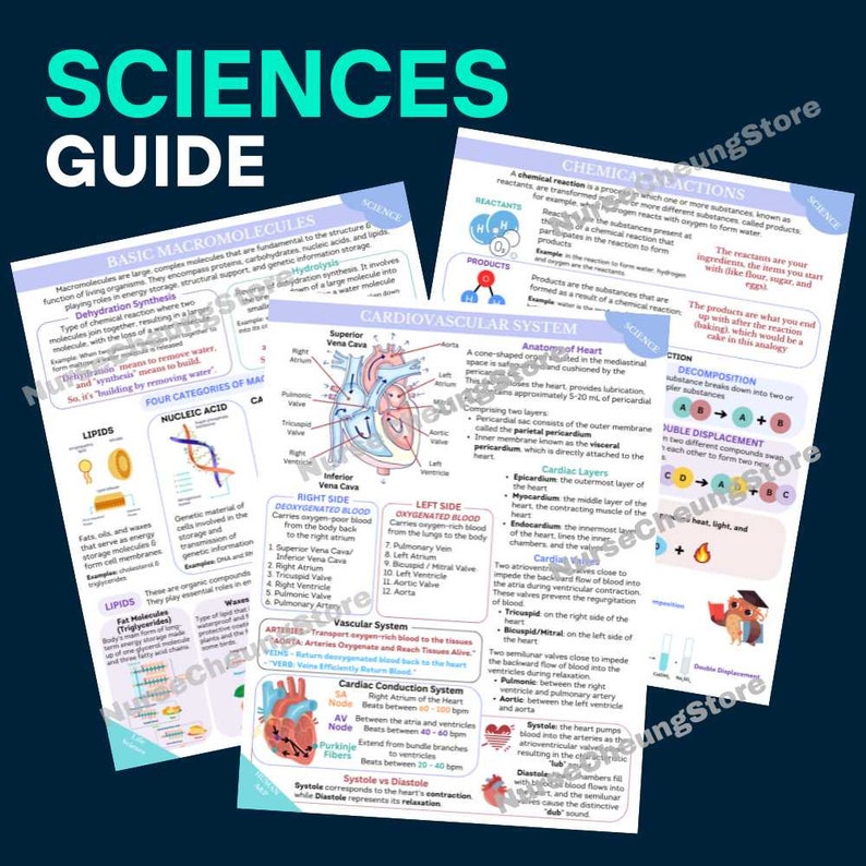 Complete ATI TEAS V7 Study Guide 2024 - 2025 by Nursecheung With 170 ...