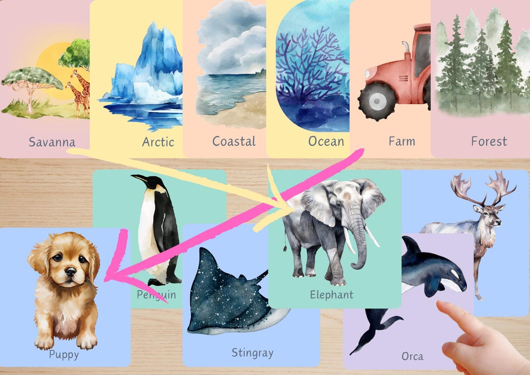 Montessori Mix and Match Animals to Their Habitat Flashcards - Etsy