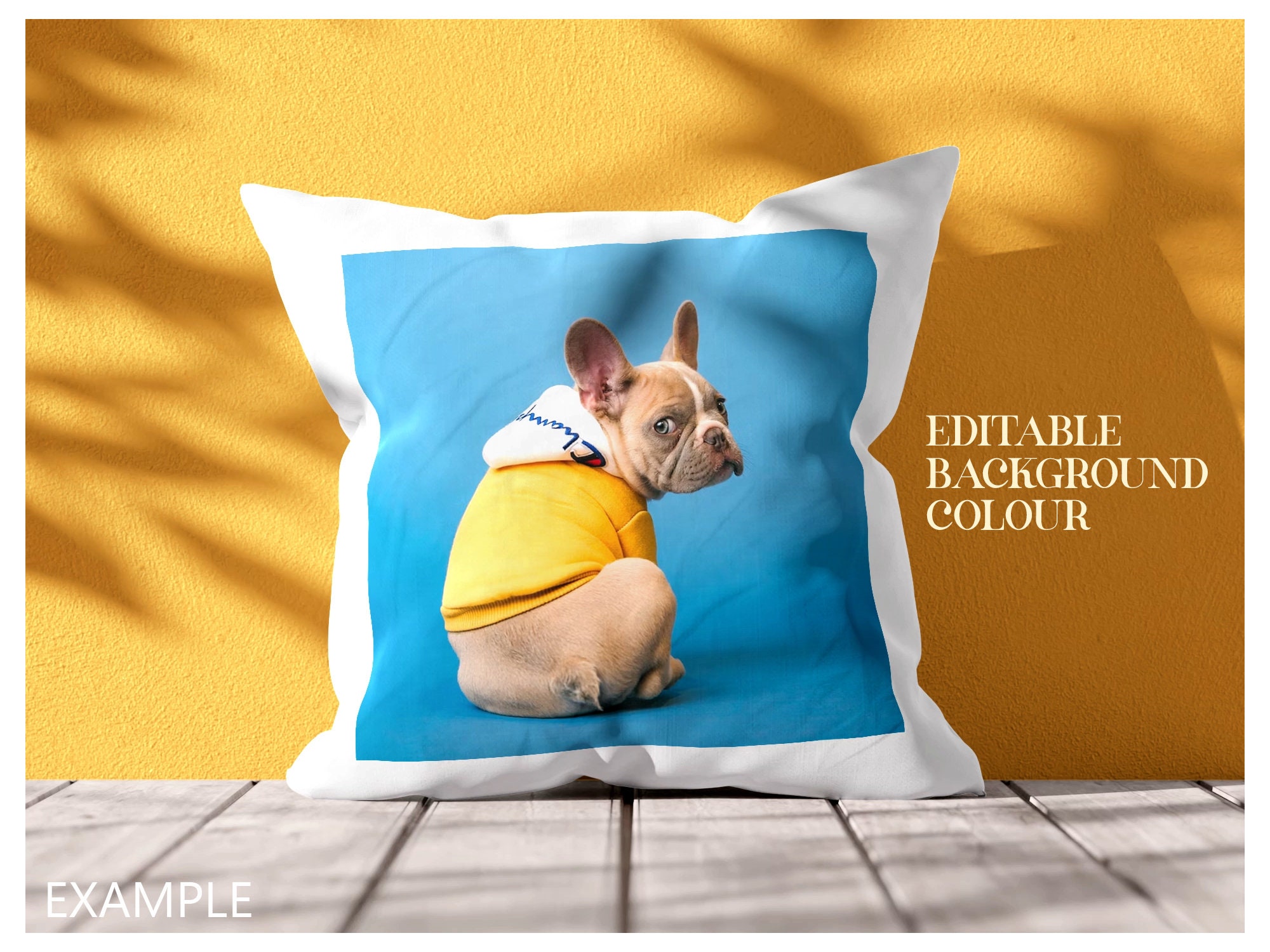 Animated Cushion PSD Video Floor Mockup With Customizable Wall Color ...