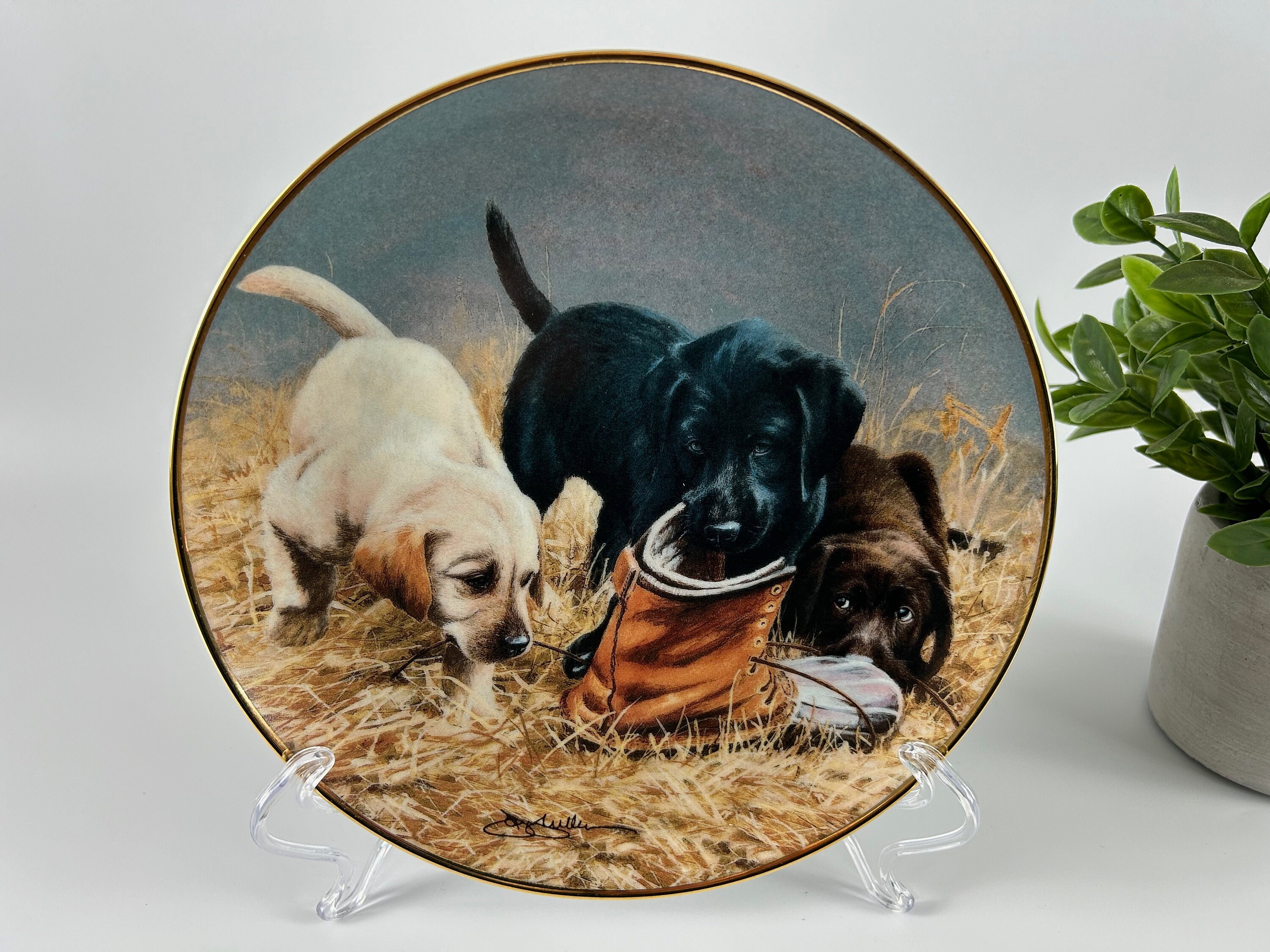Labrador Puppy Plate 'three to Boot' White Lab and Black Labs Signed ...